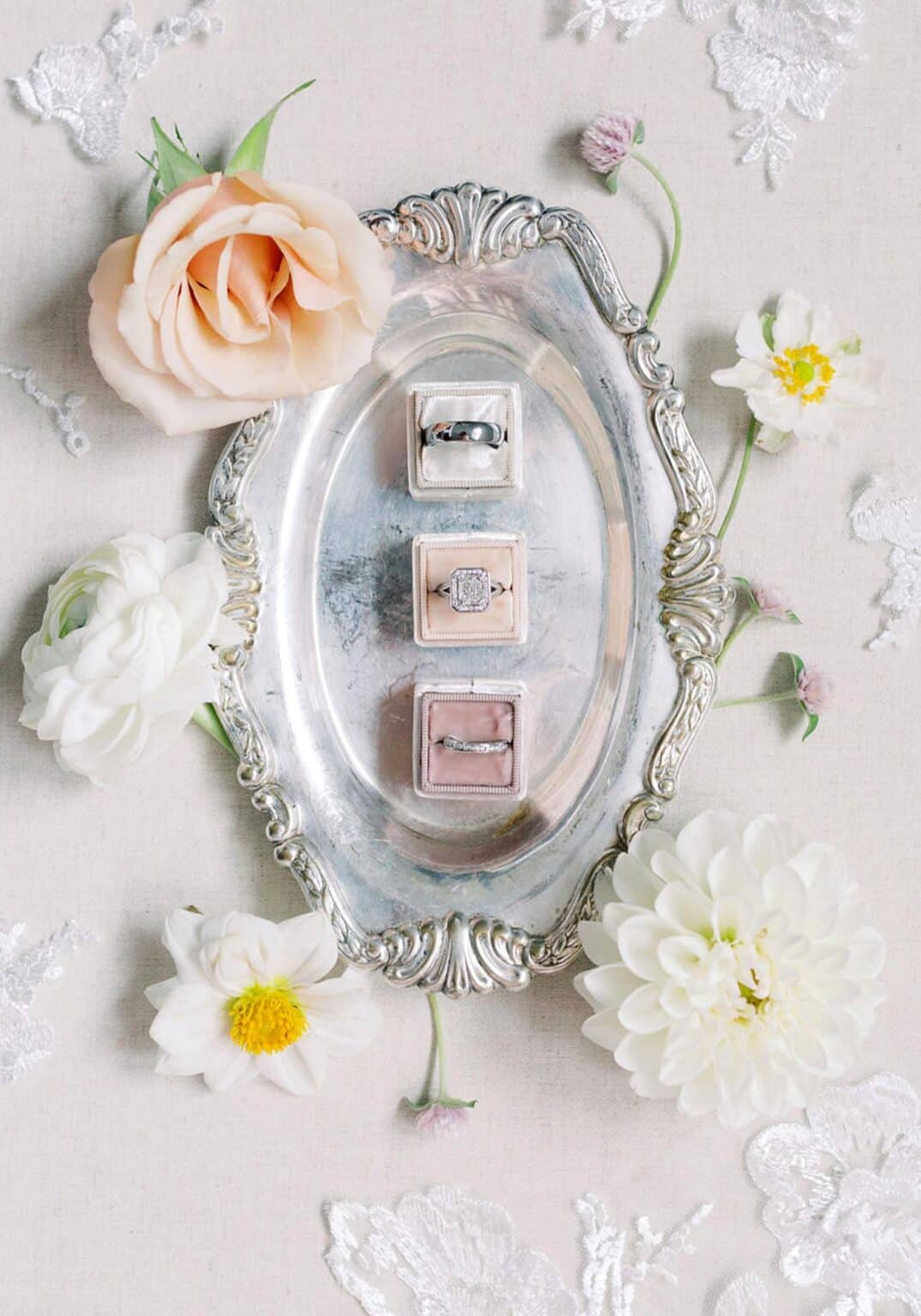 Colin & Sarah's Mountainside Vineyard Wedding - Wine and Country Weddings