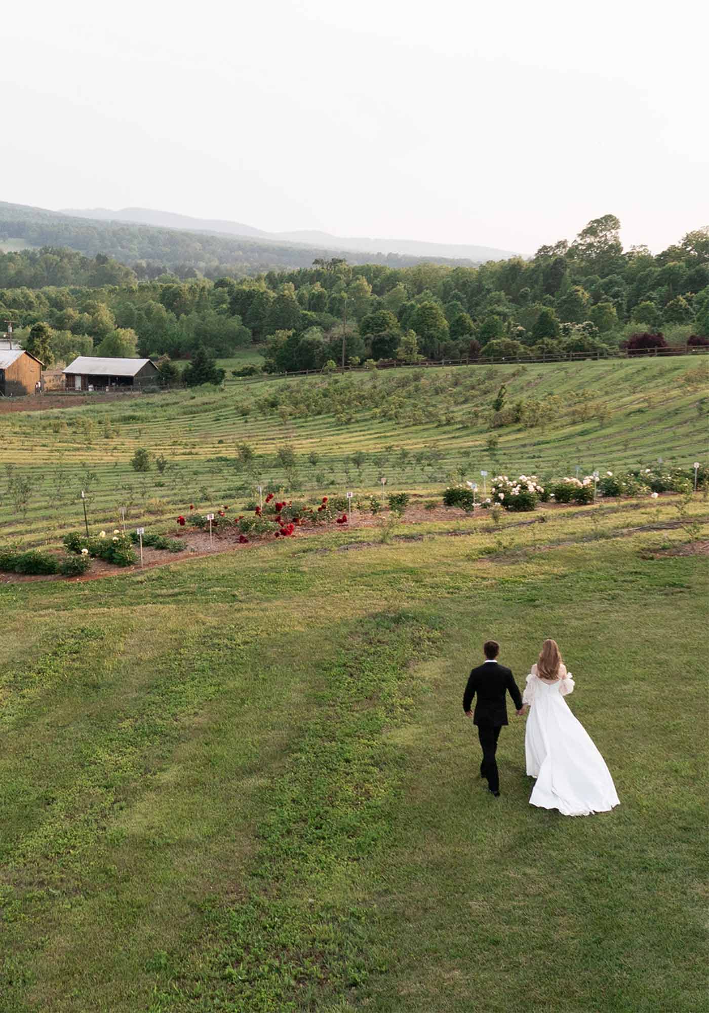 Shannon Moffit Photography - Wine and Country Weddings